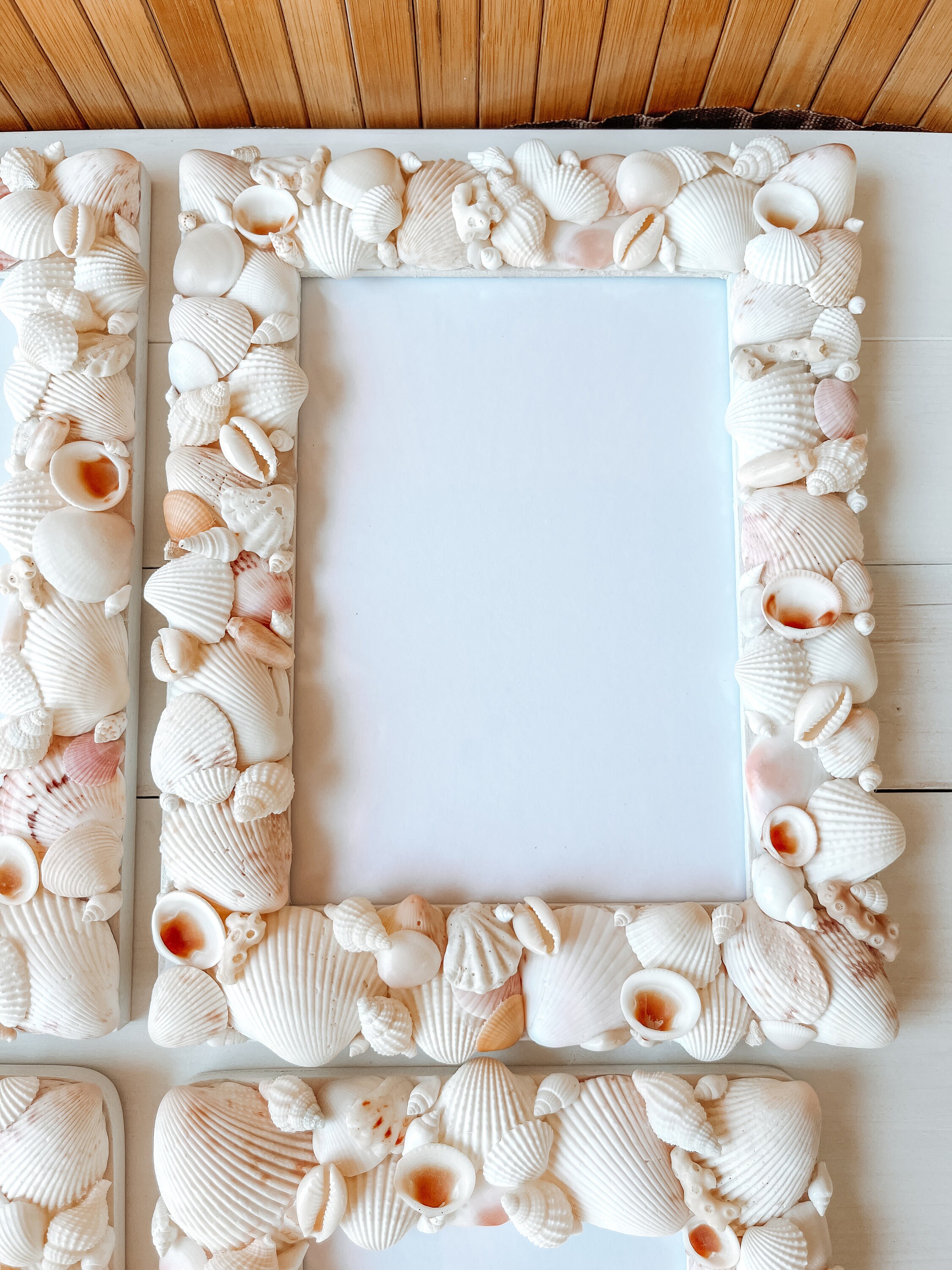 Seashell Picture Frame, 4x6 or 5x7, Palm Beach Chic Decor - Etsy