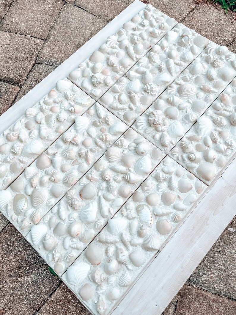 Sea Shell Tiles, Palm Beach Chic Home Decor, Coastal Accent Tile ...