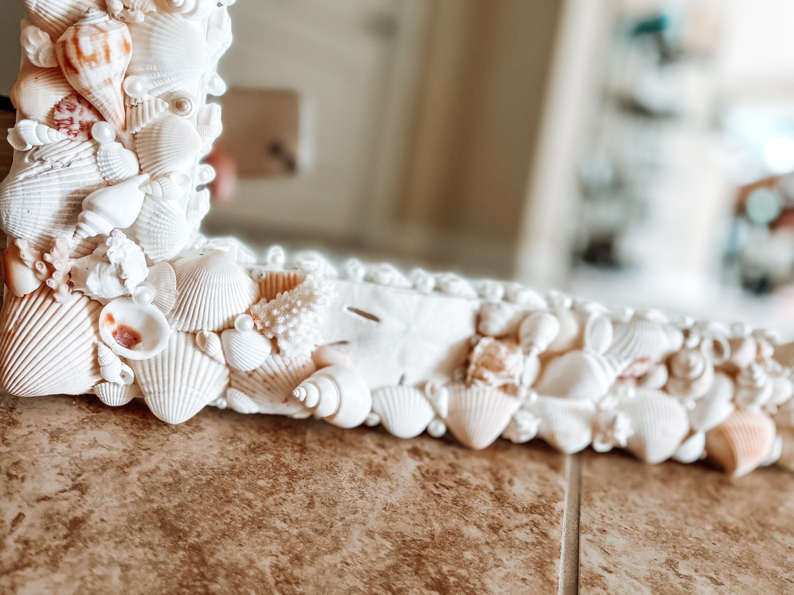 Coastal Sea Shell Mirror, Custom Shell Mirror, Beach Home Decor, Shell ...