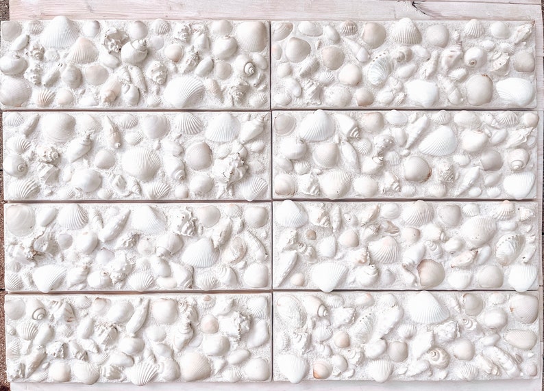 Sea Shell Tiles, Palm Beach Chic Home Decor, Coastal Accent Tile ...
