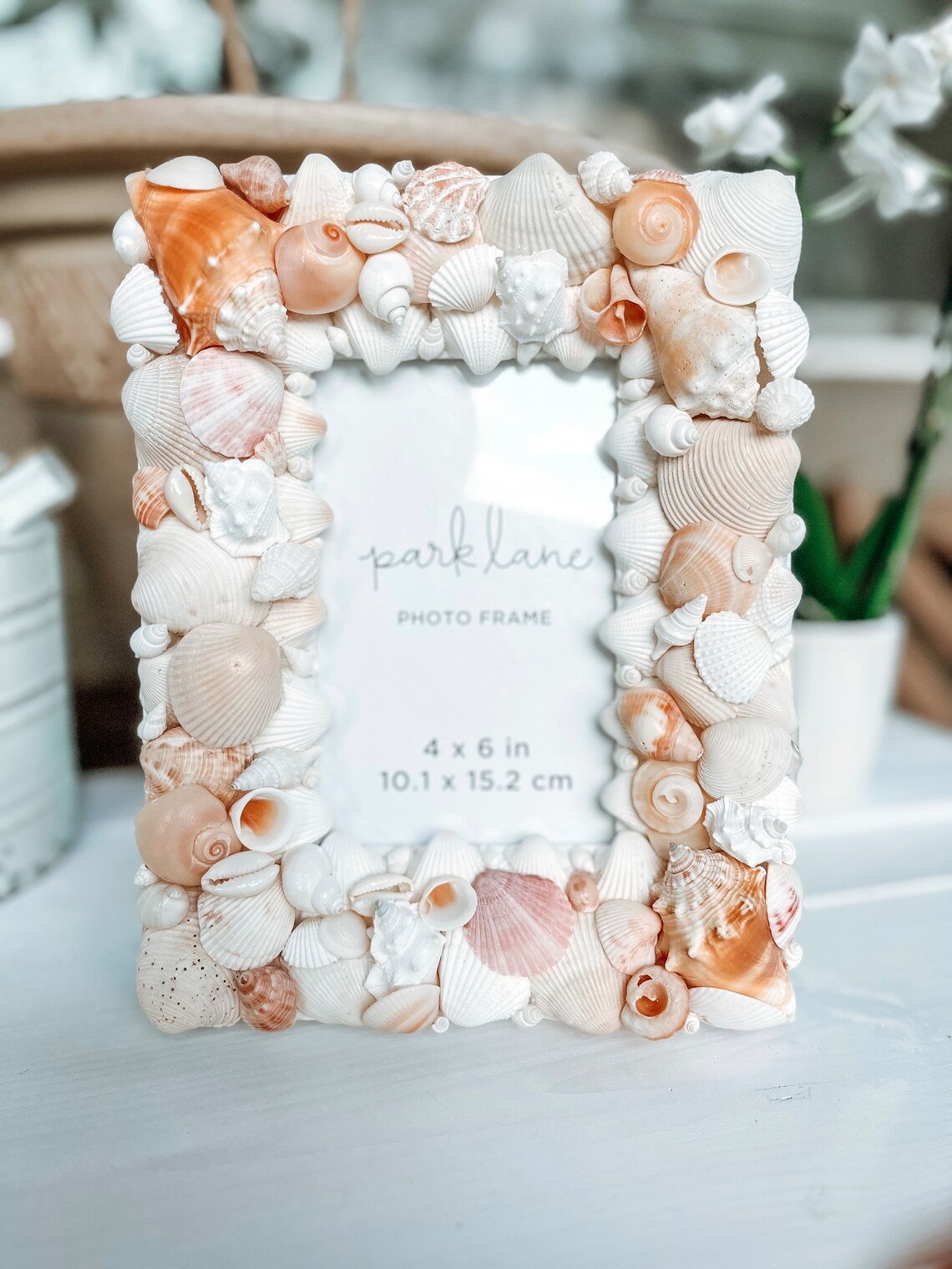 Seashell Frame for 4x6 Picture, Natural Tan/beige Shell Picture Frame ...