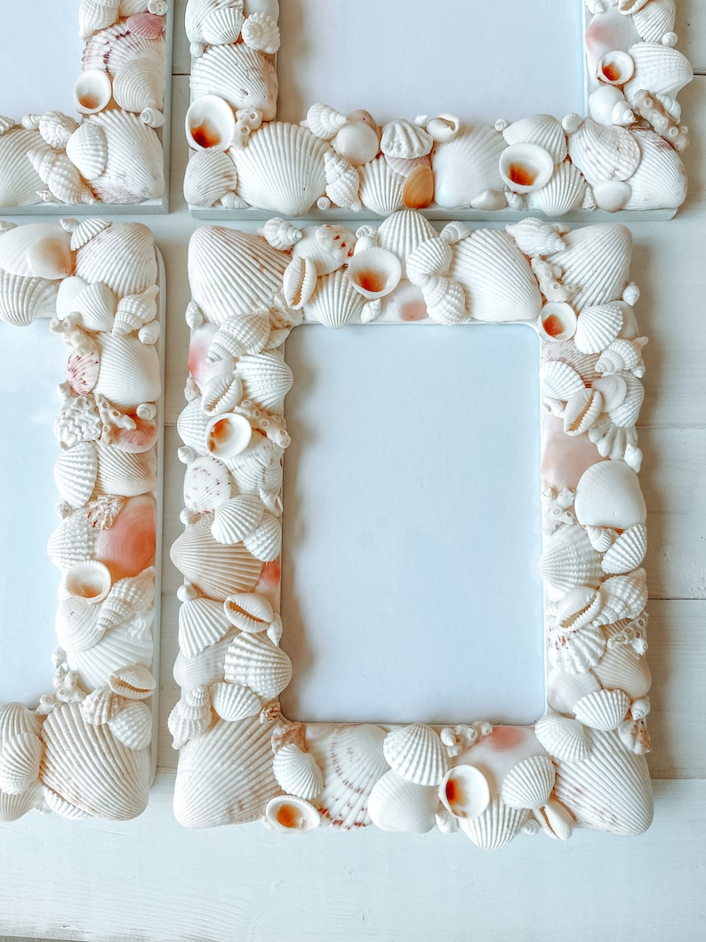 Seashell Picture Frame, 4x6 or 5x7, Palm Beach Chic Decor, Pink and ...