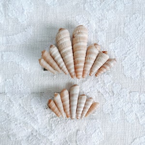 Shell Hair Barrette, Seashell Hair, Shell Clip, Mermaidcore, Beach Hair ...