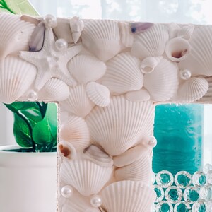 Beach Shell Initial Letters, Seashell Name / Letters, Coastal/tropical ...