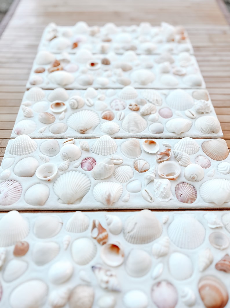 Seashell Tile Custom, Coastal Tile, Beach House Tile, Home Decor ...
