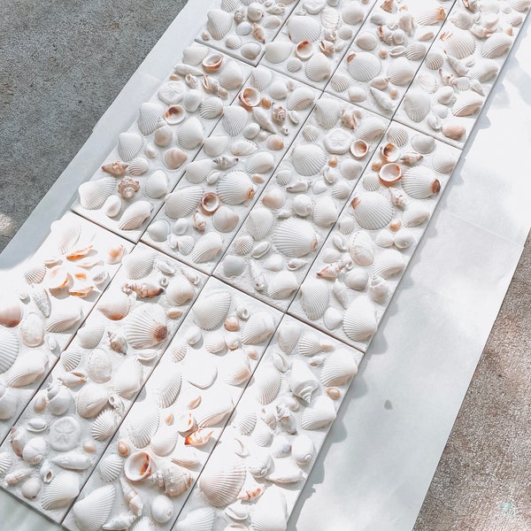 Shell Tile for Coastal Decor, Shell Tiles, Fireplace Tiles, Sea Shells ...