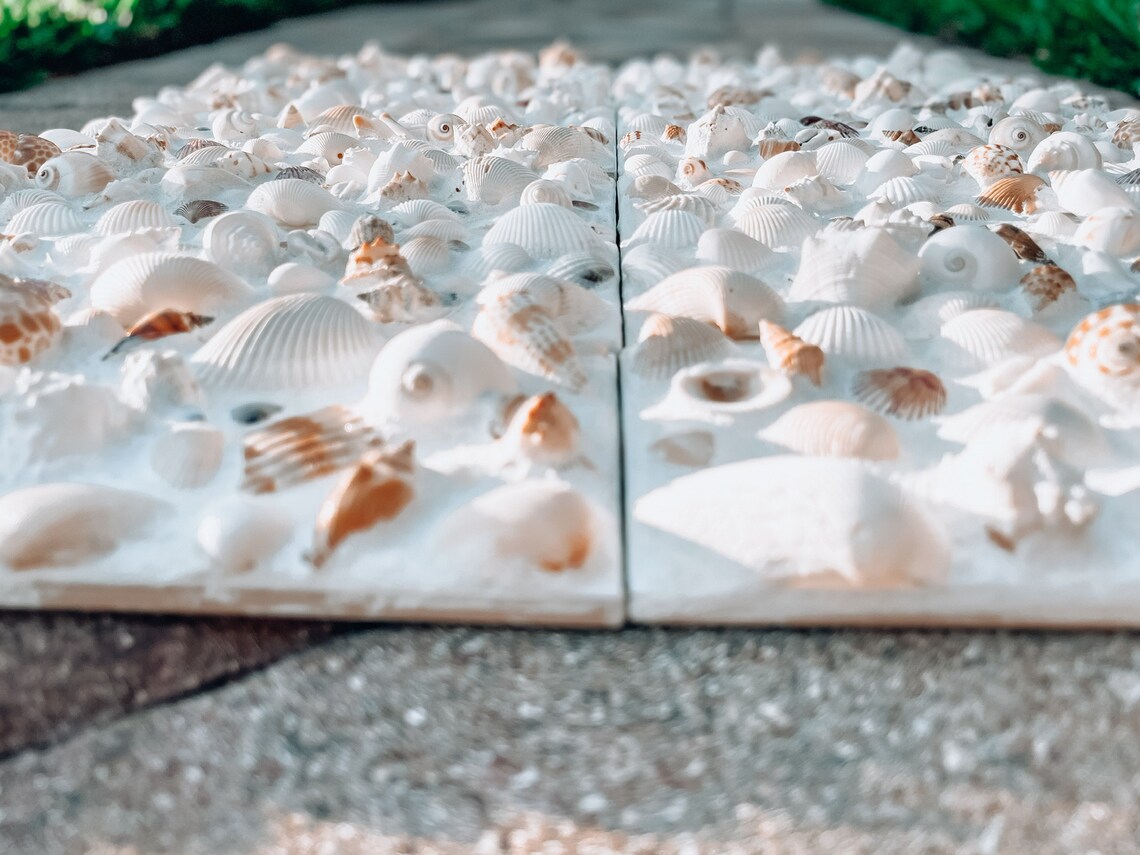 Shell Tile Coastal Decor Beach Tile for Bathroom Kitchen - Etsy