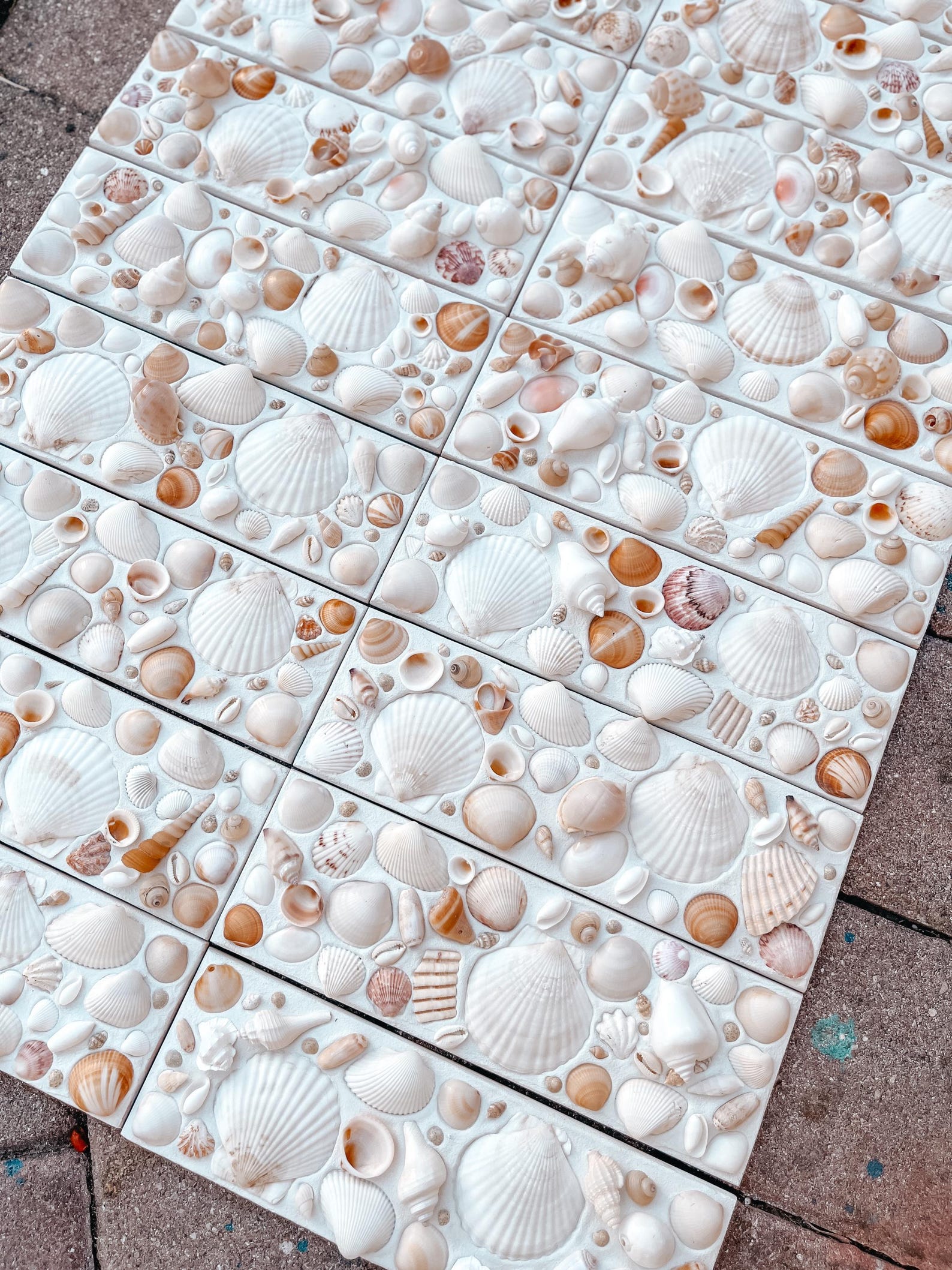 Sea Shell Tiles, Palm Beach Chic Home Decor, Coastal Accent Tile ...