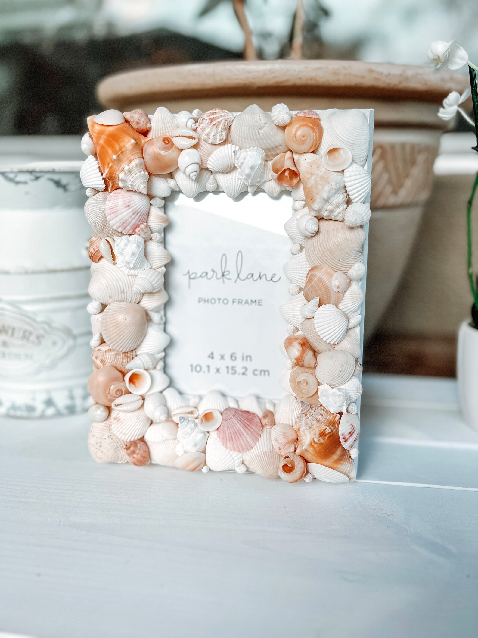 Seashell Frame 4x6” Picture Frame Natural Tan/beige Shell Picture Frame ...