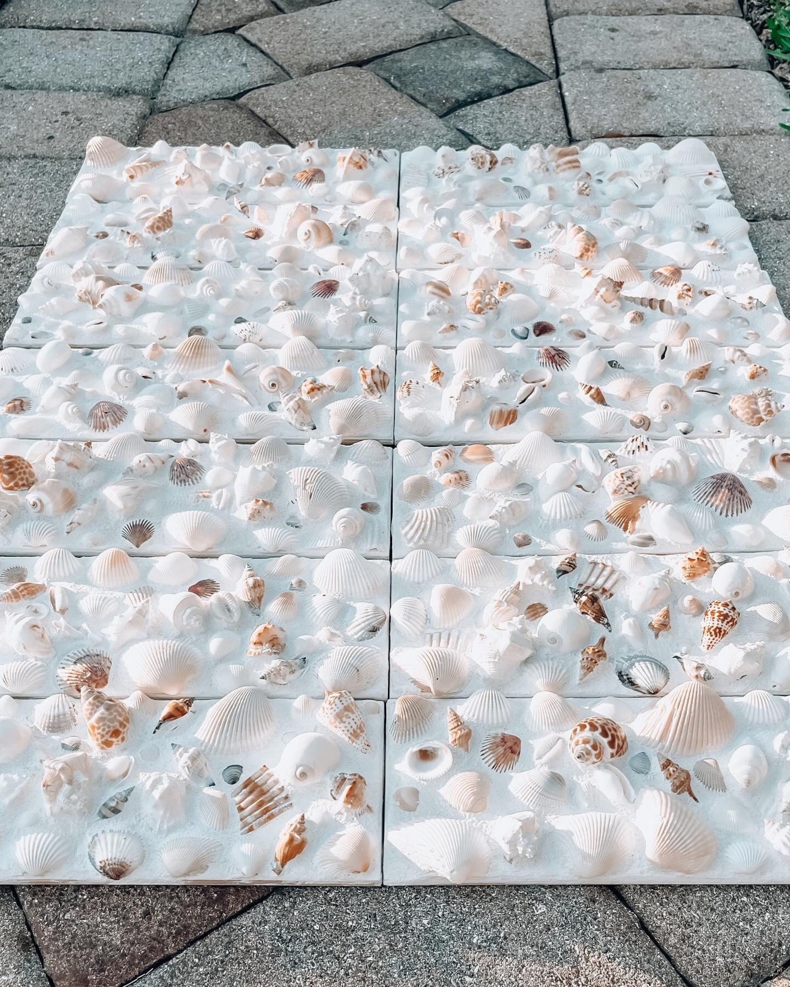 Shell Tile Coastal Decor Beach Tile for Bathroom Kitchen - Etsy