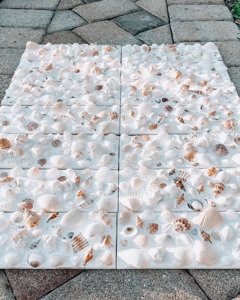 Shell Tile Coastal Decor Beach Tile for Bathroom Kitchen - Etsy