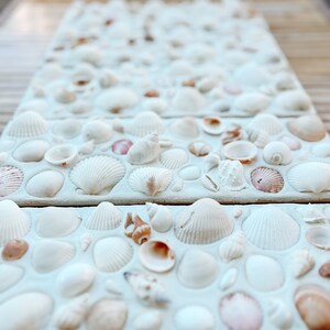 Seashell Tile: Custom Coastal Decor, Beach House Accent Tile - Etsy