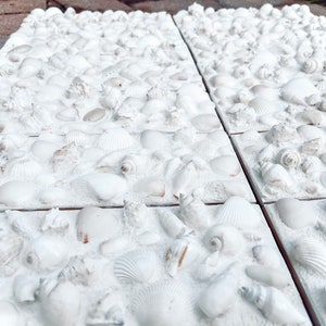 Seashell Tile Custom, Coastal Tile, Beach House Tile, Home Decor ...