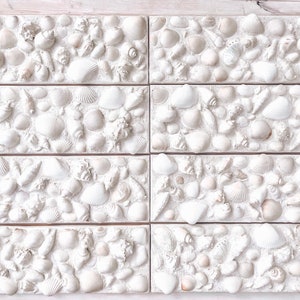 Seashell Coastal Decorative Tiles, Custom Deco Tile, Shell Backsplash ...