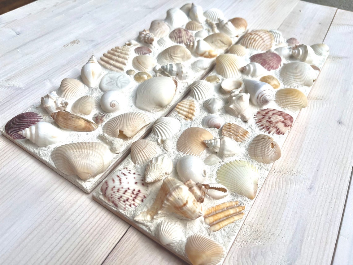 Seashell Coastal Decorative Tiles Custom Deco Tile Shell - Etsy