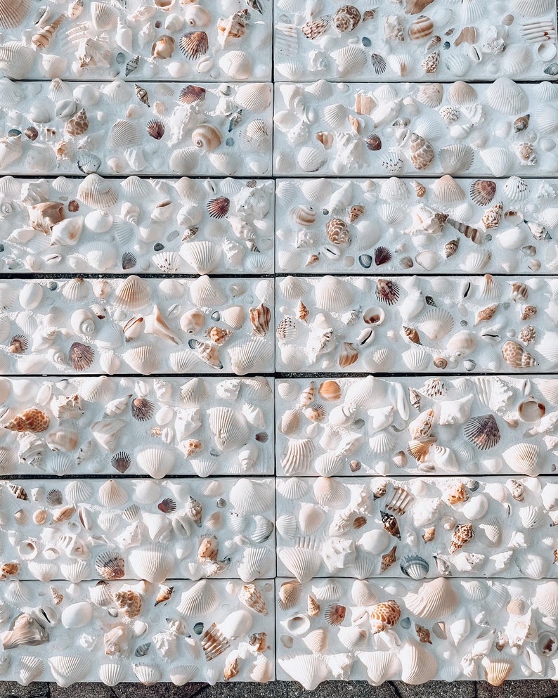 Shell Tile Coastal Decor Beach Tile for Bathroom Kitchen - Etsy