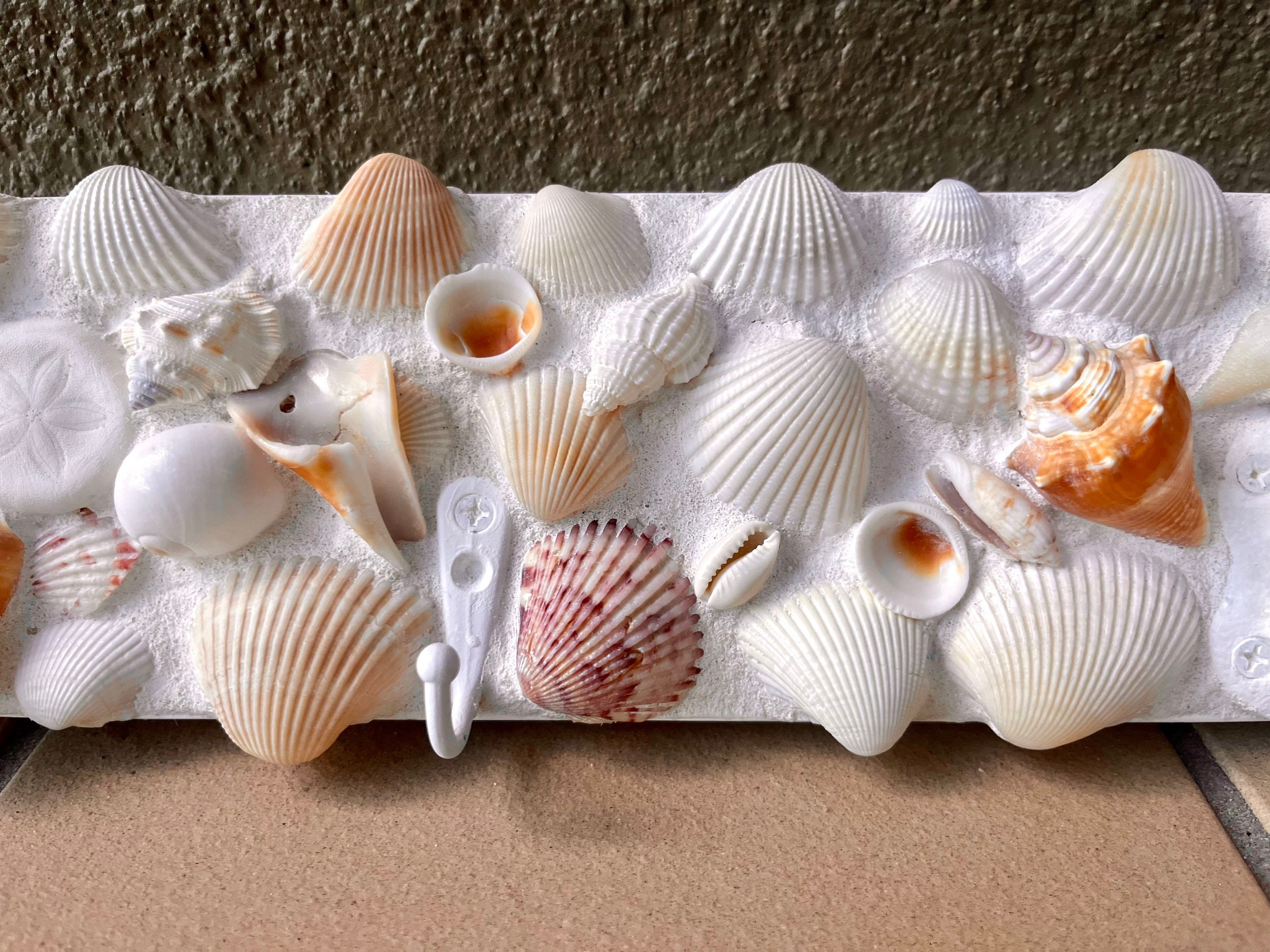 Seashell Towel Holder, Towel Wrack Beach Bathroom Decor - Etsy