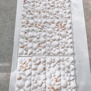 Seashell Coastal Decorative Tiles, Custom Deco Tile, Seashells, Coastal ...