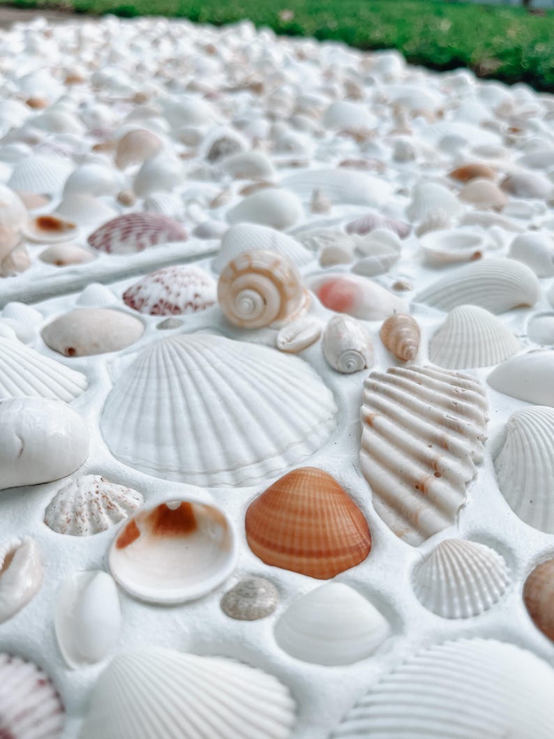 Seashell Tiles Custom Size, Coastal Tile, Beach Tiles, Decorative Tile ...