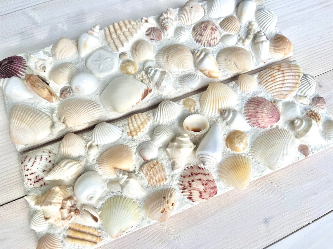 Seashell Coastal Decorative Tiles Custom Deco Tile Shell - Etsy