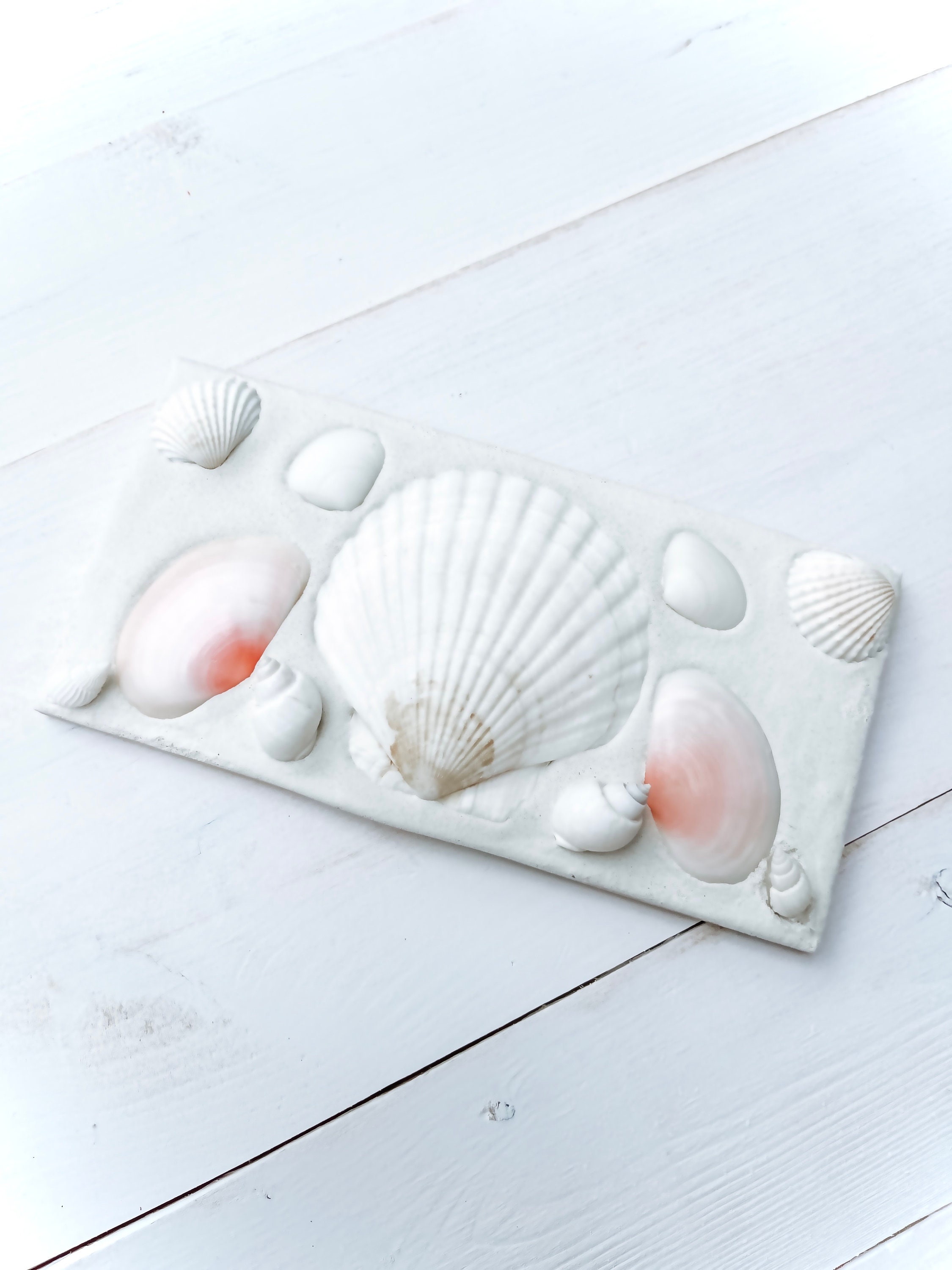 Seashell Mosaic Tile: Coastal Accent Tile, Beach Decor (3”x6”) - Etsy