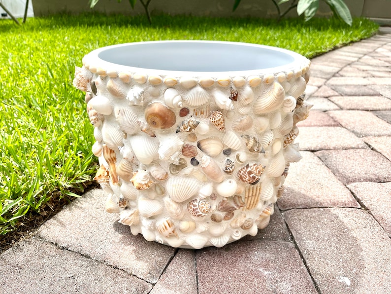 Large Shell Planter, Beach House Decor, Large Beach Seashell Planter ...