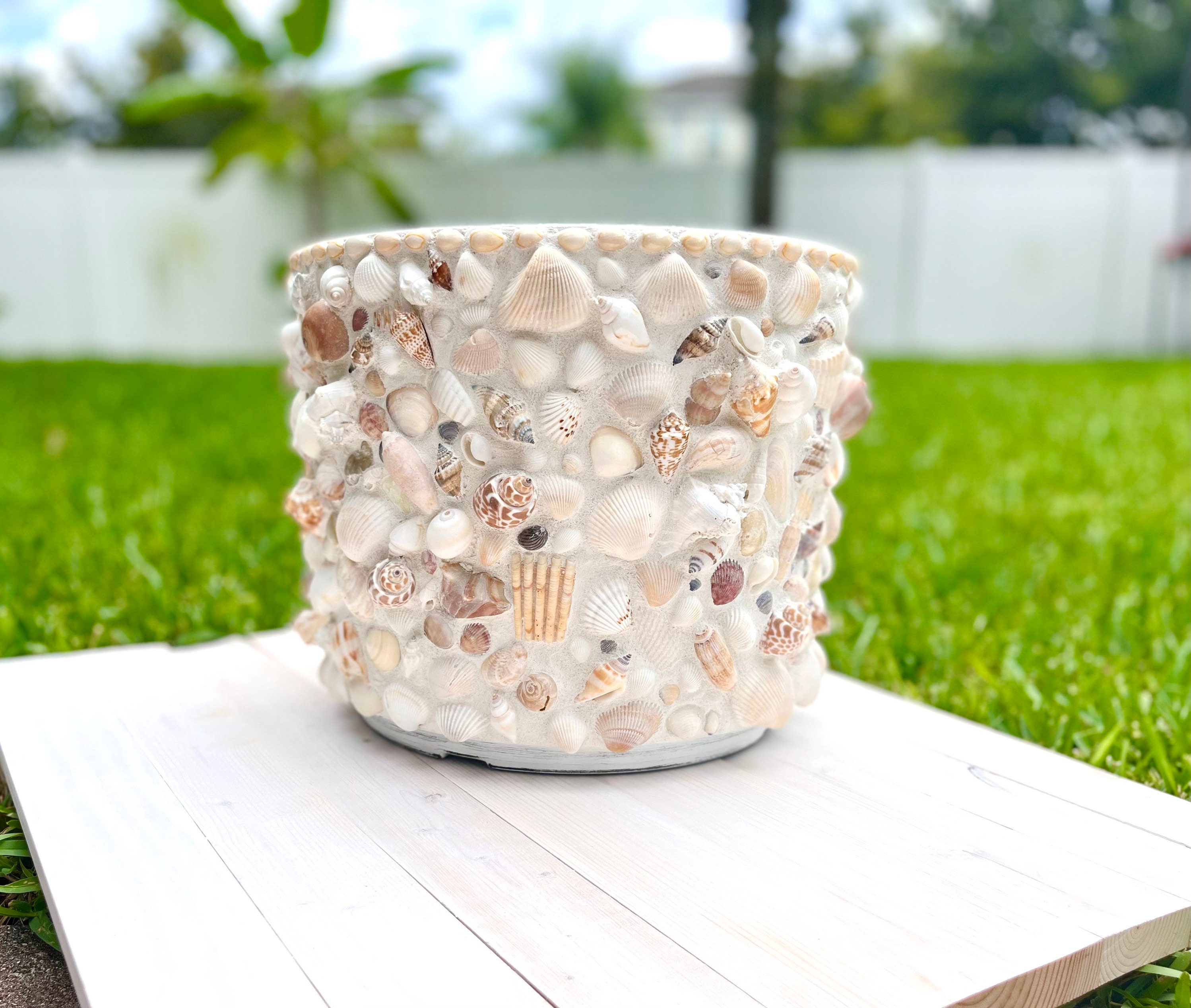Large Shell Planter, Beach House Decor, Large Beach Seashell Planter ...
