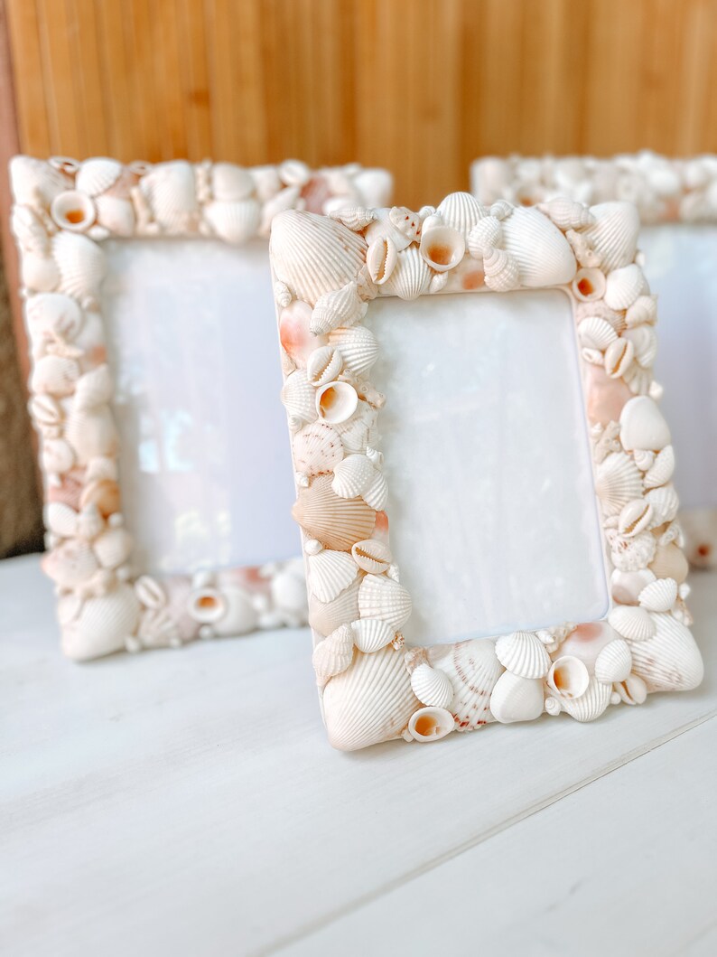 Seashell Picture Frame, 4x6 or 5x7, Palm Beach Chic Decor, Pink and ...