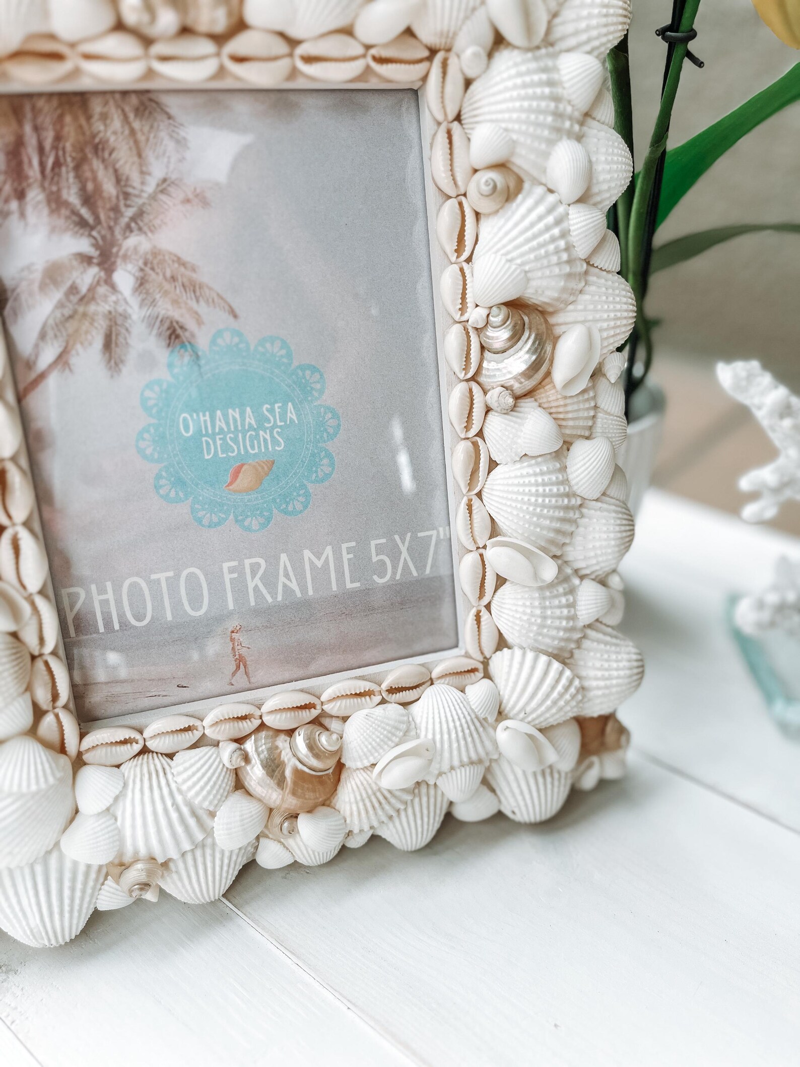 Seashell Picture Frame, Luxury Beach Decor, Coastal Chic Home Decor ...