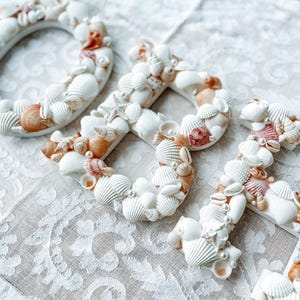 Beach Shell Initial Letters, Seashell Name / Letters, Coastal/tropical ...