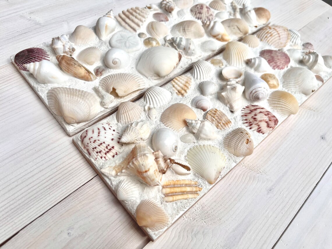 Seashell Coastal Decorative Tiles Custom Deco Tile Shell - Etsy