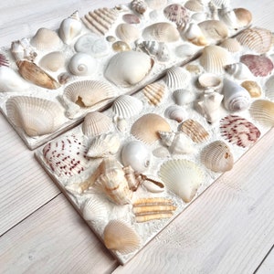Seashell Coastal Decorative Tiles, Custom Deco Tile, Shell Backsplash ...
