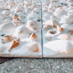 Handmade Seashell Tile: Coastal Beach Decor (4x12) - Etsy