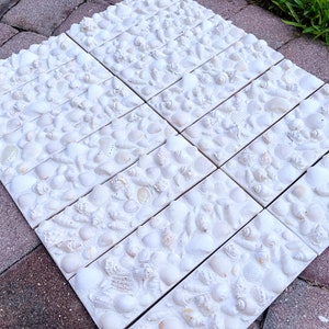 Seashell Coastal Decorative Tiles, Custom Deco Tile, Seashells, Coastal ...