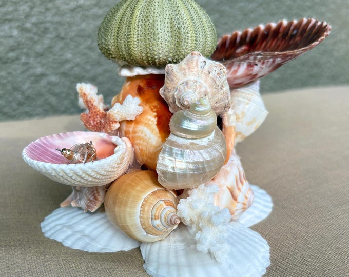 Seashell Jewelry Display, Mermaid Jewelry Holder - Etsy