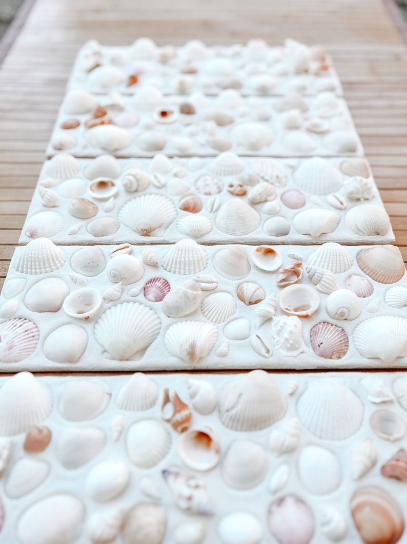 Sea Shell Tiles, Palm Beach Chic Home Decor, Coastal Accent Tile ...