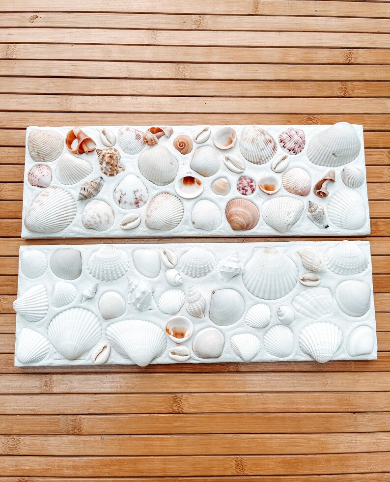 Sea Shell Tiles, Palm Beach Chic Home Decor, Coastal Accent Tile ...