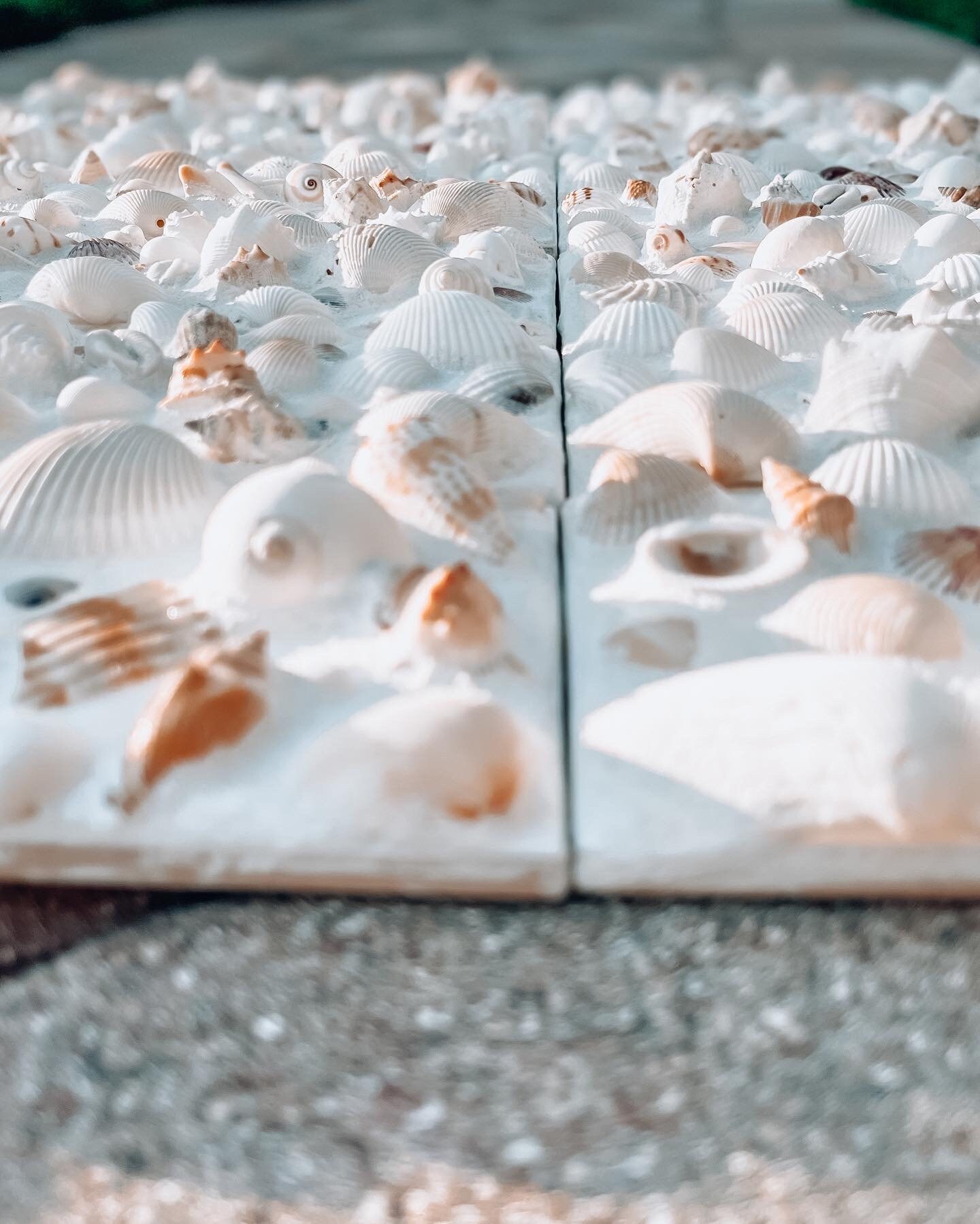 Shell Tile Coastal Decor Beach Tile for Bathroom Kitchen - Etsy