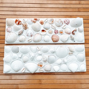 Seashell Coastal Decorative Tiles, Custom Deco Tile, Seashells, Coastal ...