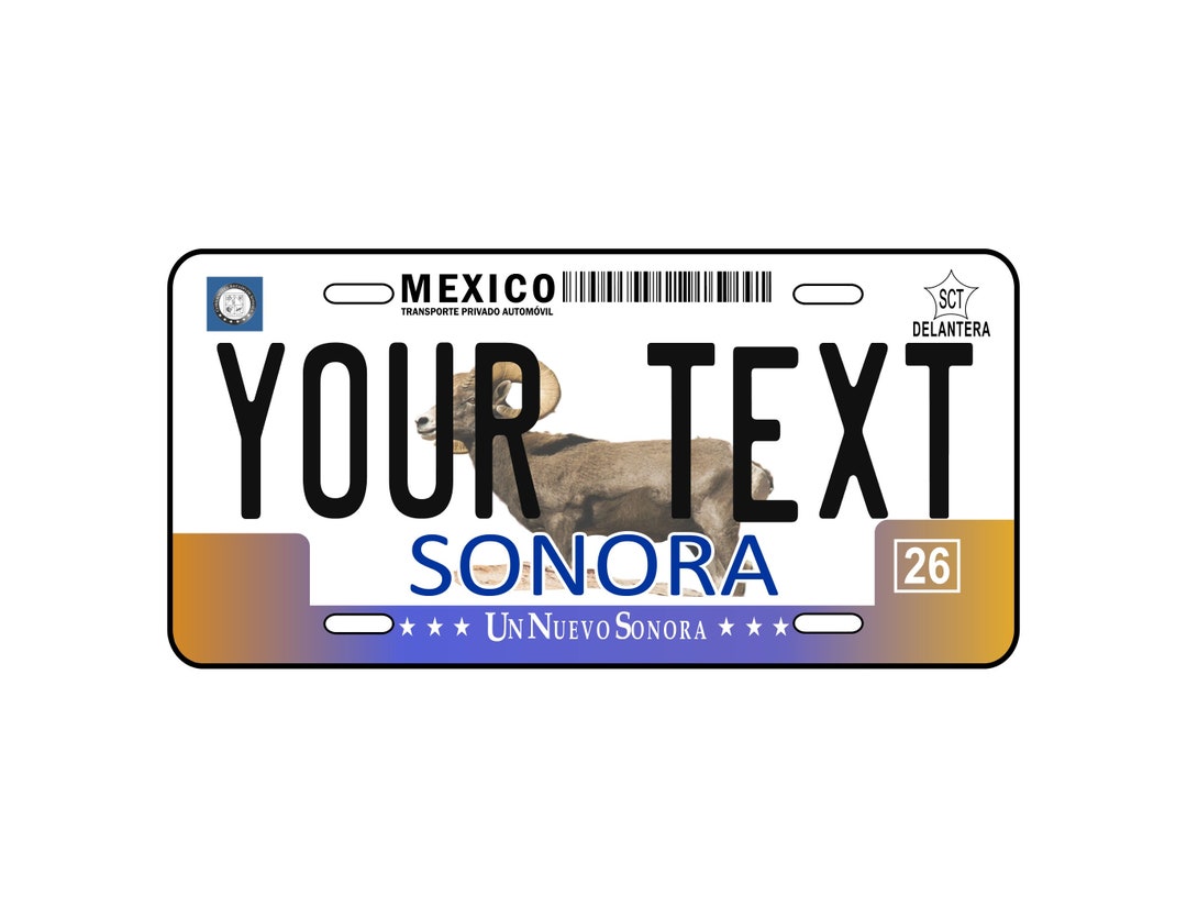 License Plate SONORA Car Plate From the State of SONORA - Etsy