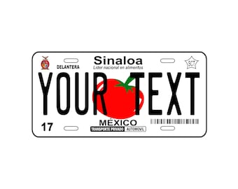 Durango License Plate Modern Black, Mexican State Car Plate, Placas ...