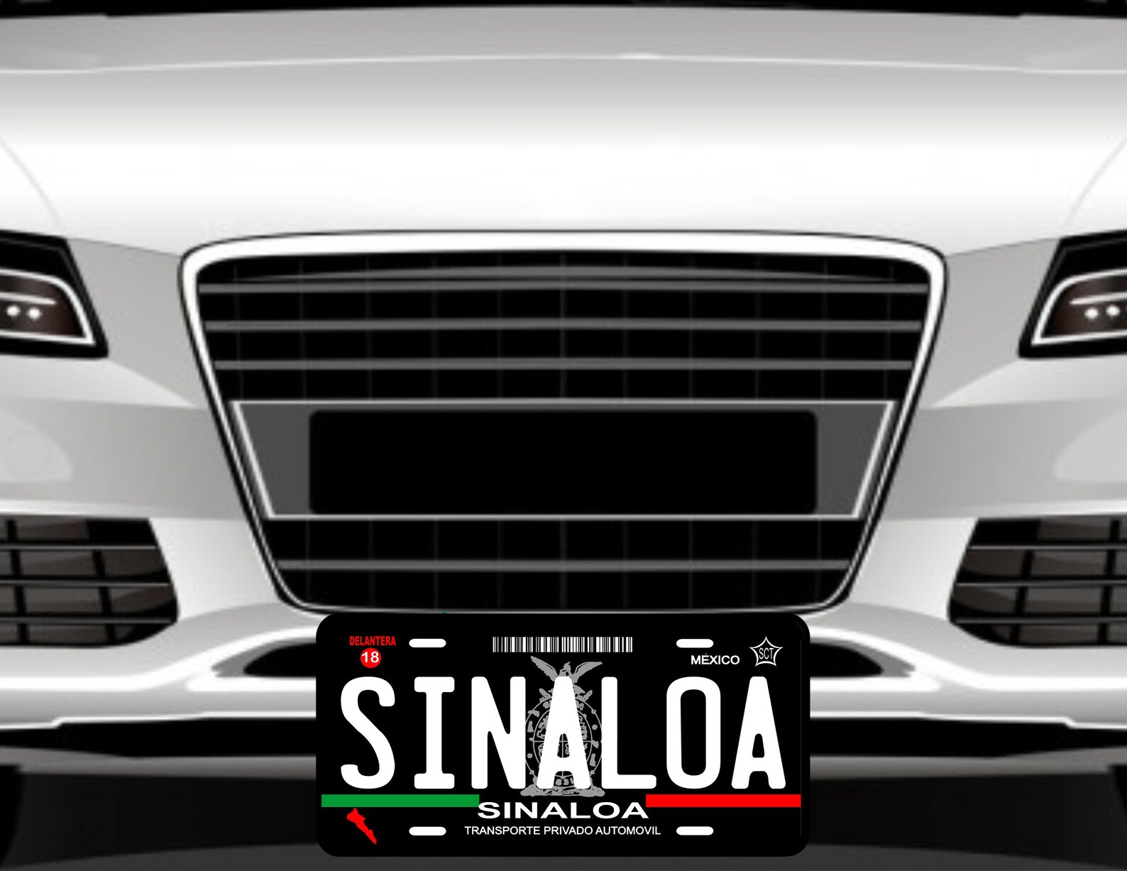 Placa Carro Estado De Sinaloa Car Plate Mexico Placas Coche - Etsy
