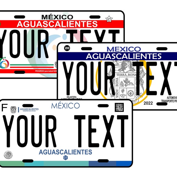 Aguascalientes Car Plate - Etsy