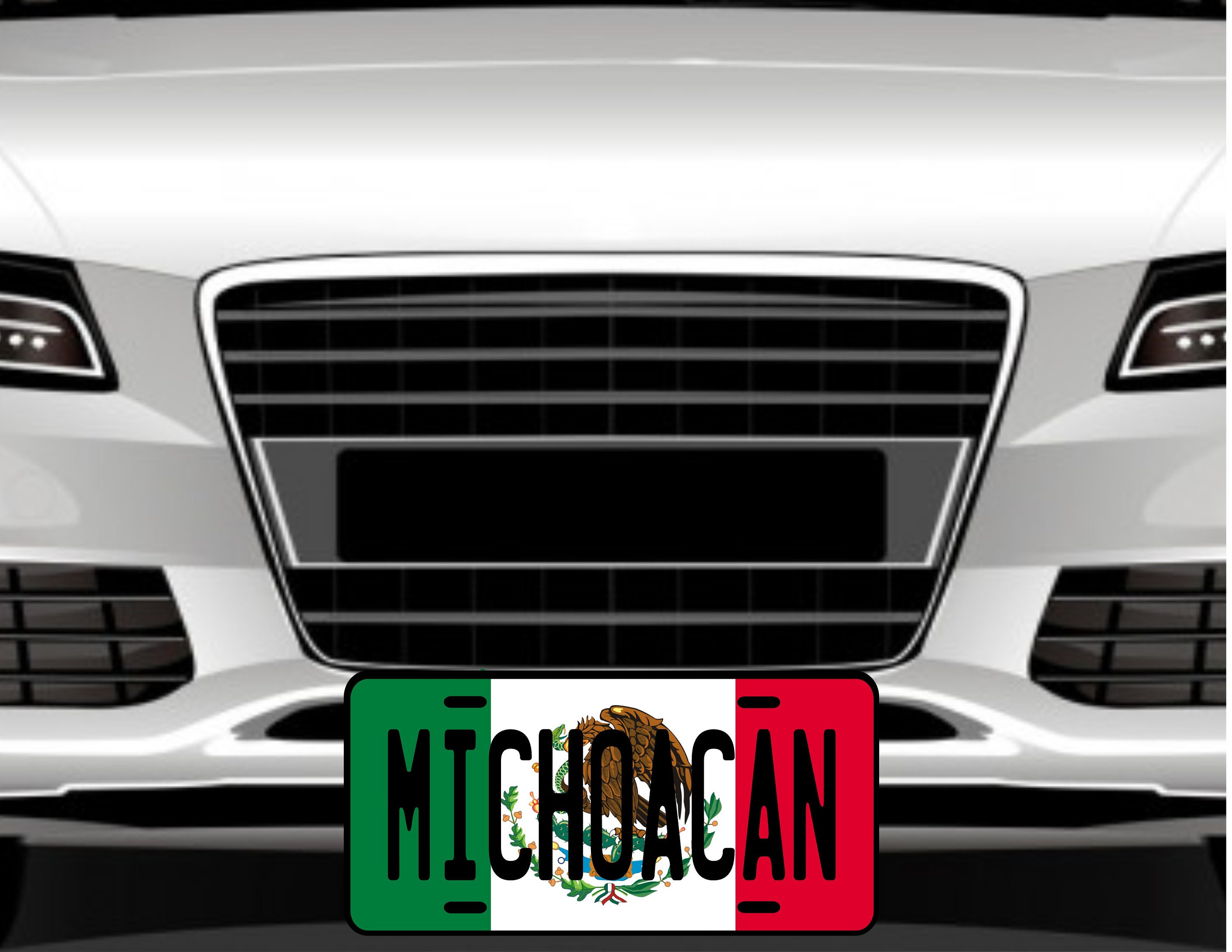 Placa Auto Estado MICHOACAN, Car Plate Mexico, Placas Carro Mexico ...