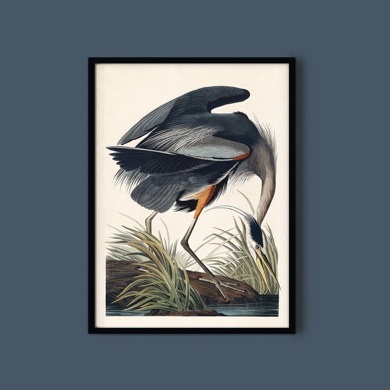 Heron Print - Etsy