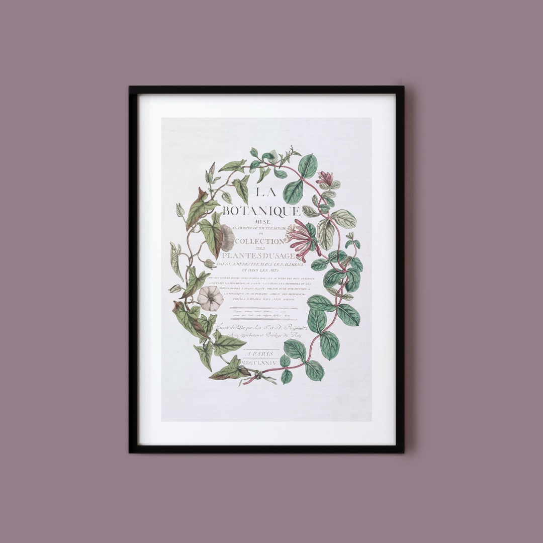 Antique French Botanical Print Digital Download Printable - Etsy