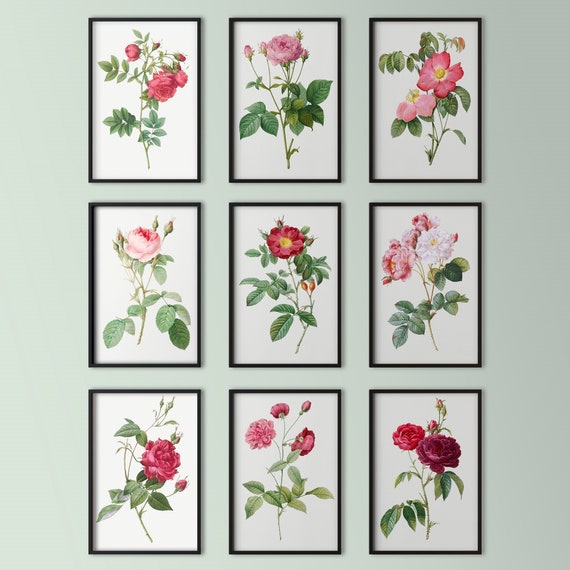 Floral Rose Prints SET OF 9 Digital Download Art Prints | Etsy