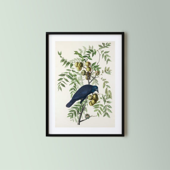 Bird Digital Download Print of American Crow - Etsy