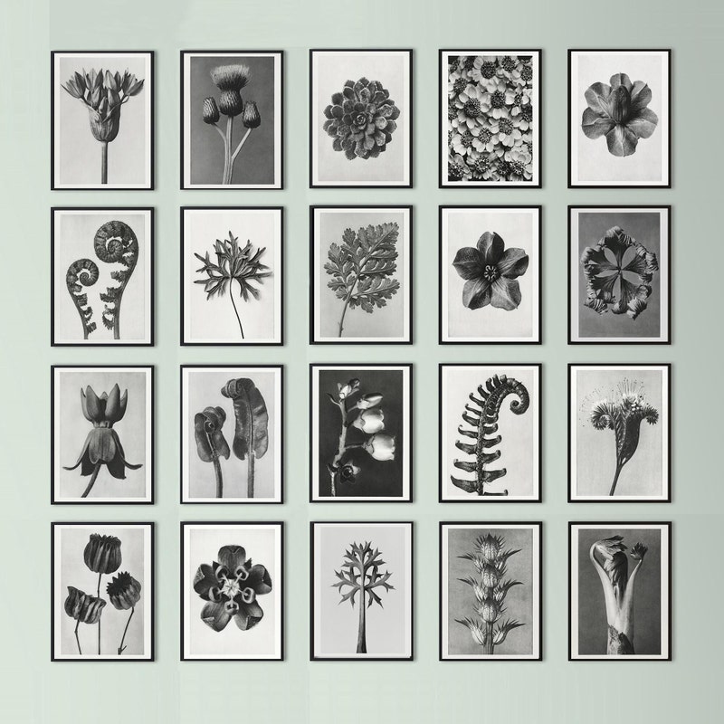 Black Botanical - Etsy