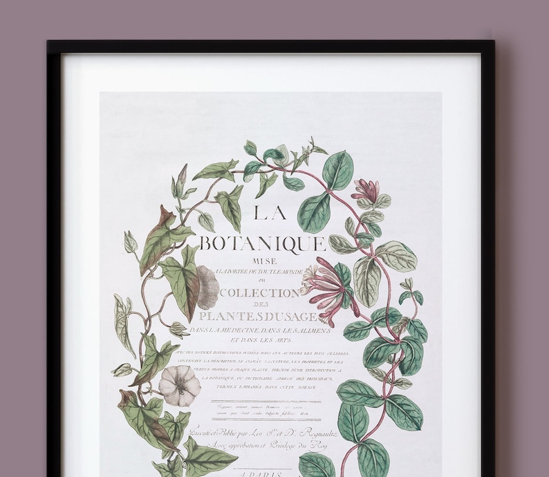 Antique French Botanical Print Digital Download Printable - Etsy